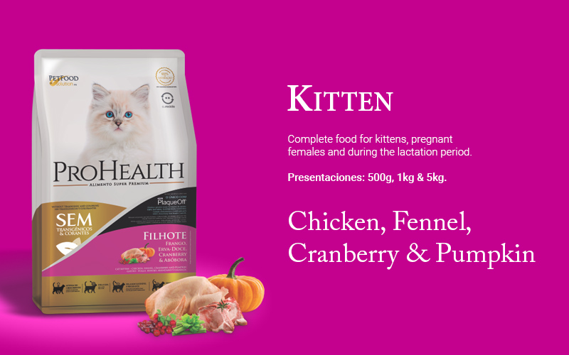 ProHealth Cat - Kitten | Pet Food Solution