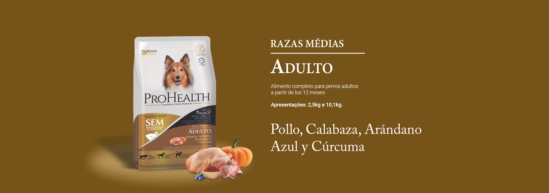 ProHealth Perro - Adulto Razas Médias | Pet Food Solution
